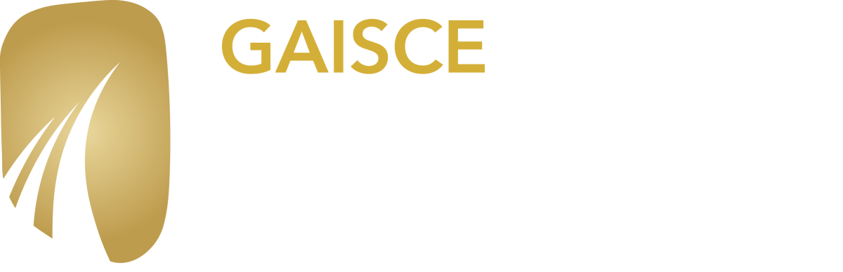 About Gaisce – The President's Award